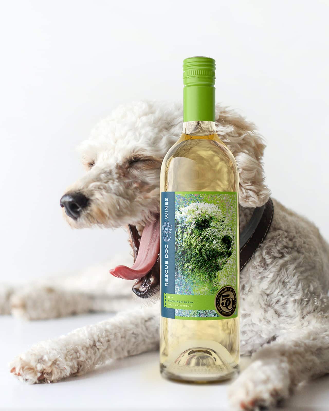 2022 Sauvignon Blanc - Rescue Dog Wines
